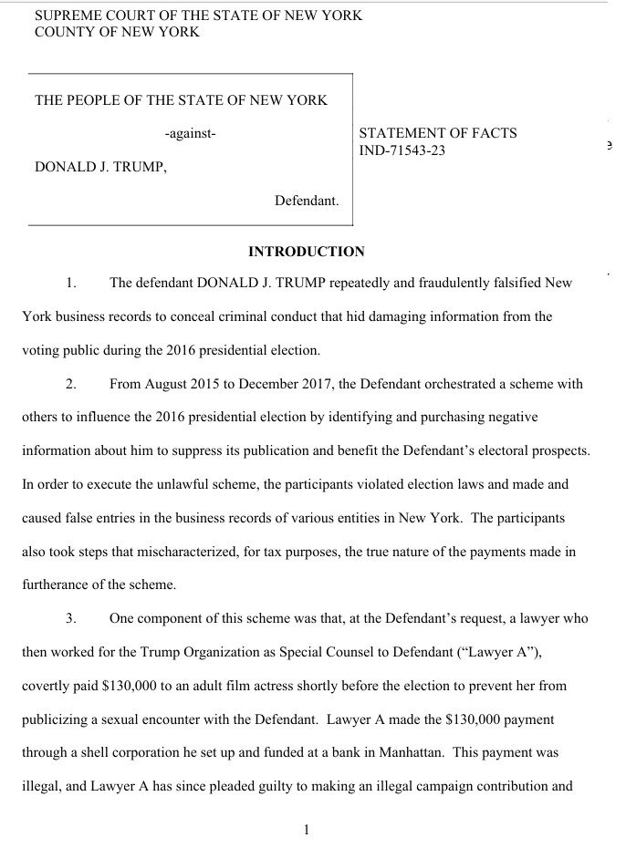 STATEMENT OF FACTS IN TRUMP'S HUSH MONEY CASE